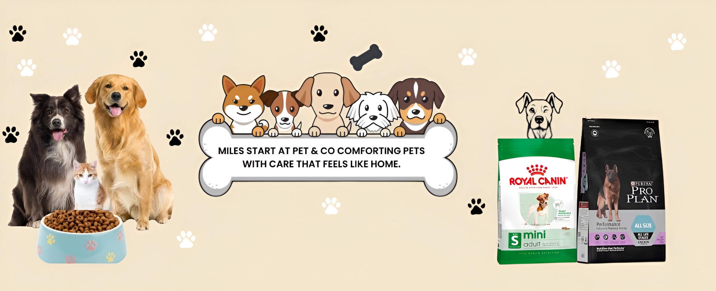 PET&CO
