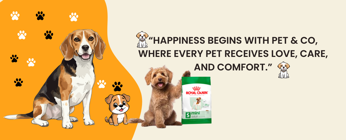 PET&CO